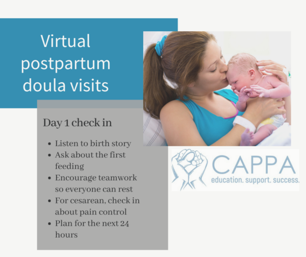 Virtual Postpartum Visit Tips | CAPPA