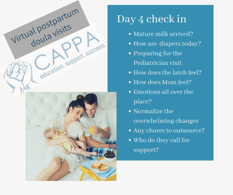 Virtual Postpartum Visit Tips | CAPPA